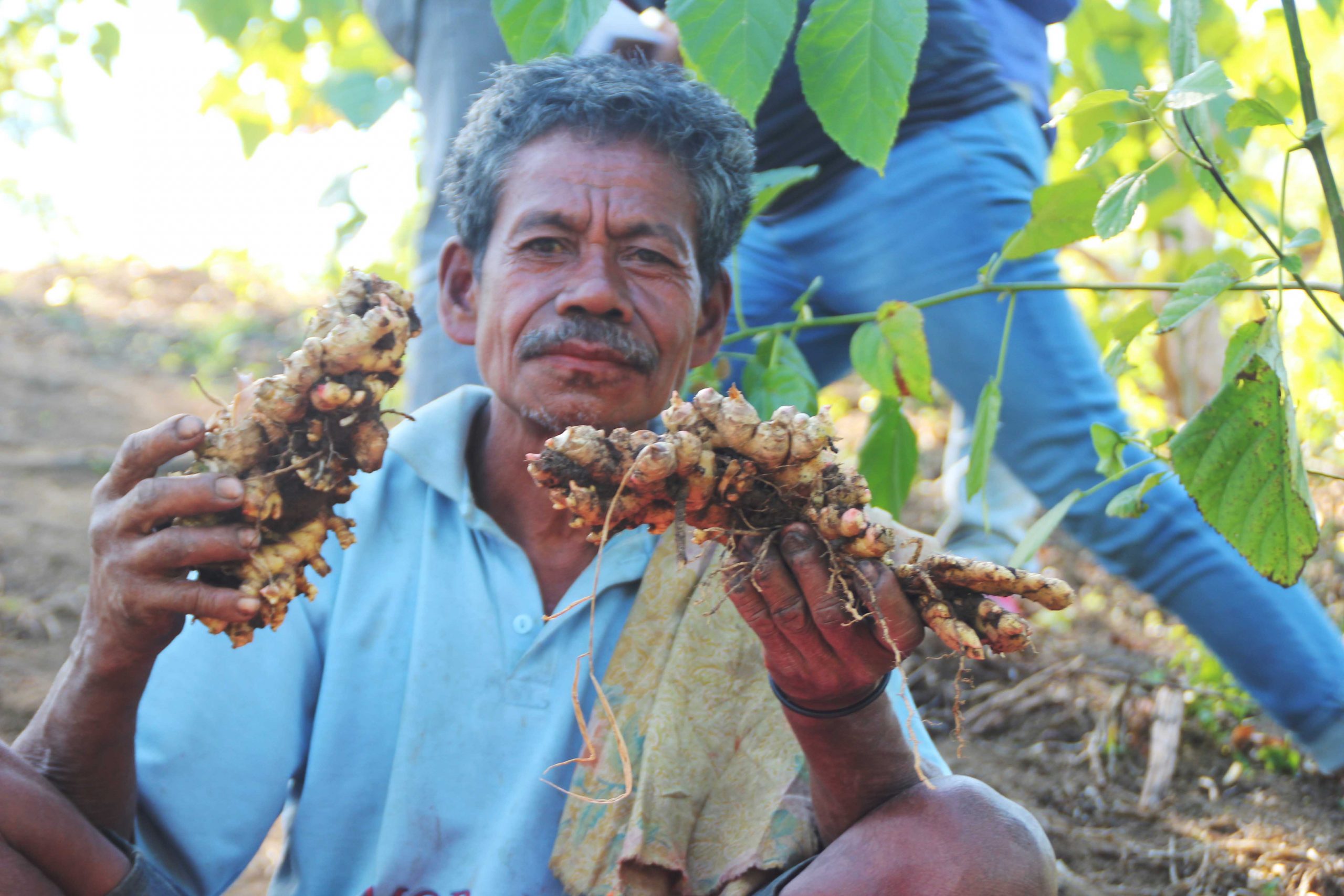 Launch of New FarMar Project | ADRA Timor-Leste