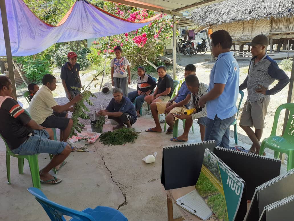 Soil Regeneration | ADRA Timor-Leste