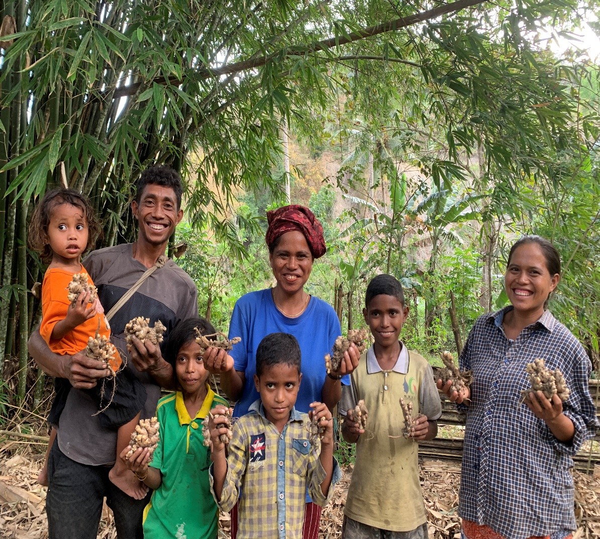 From Seed to Strength in Dilor | ADRA Timor-Leste